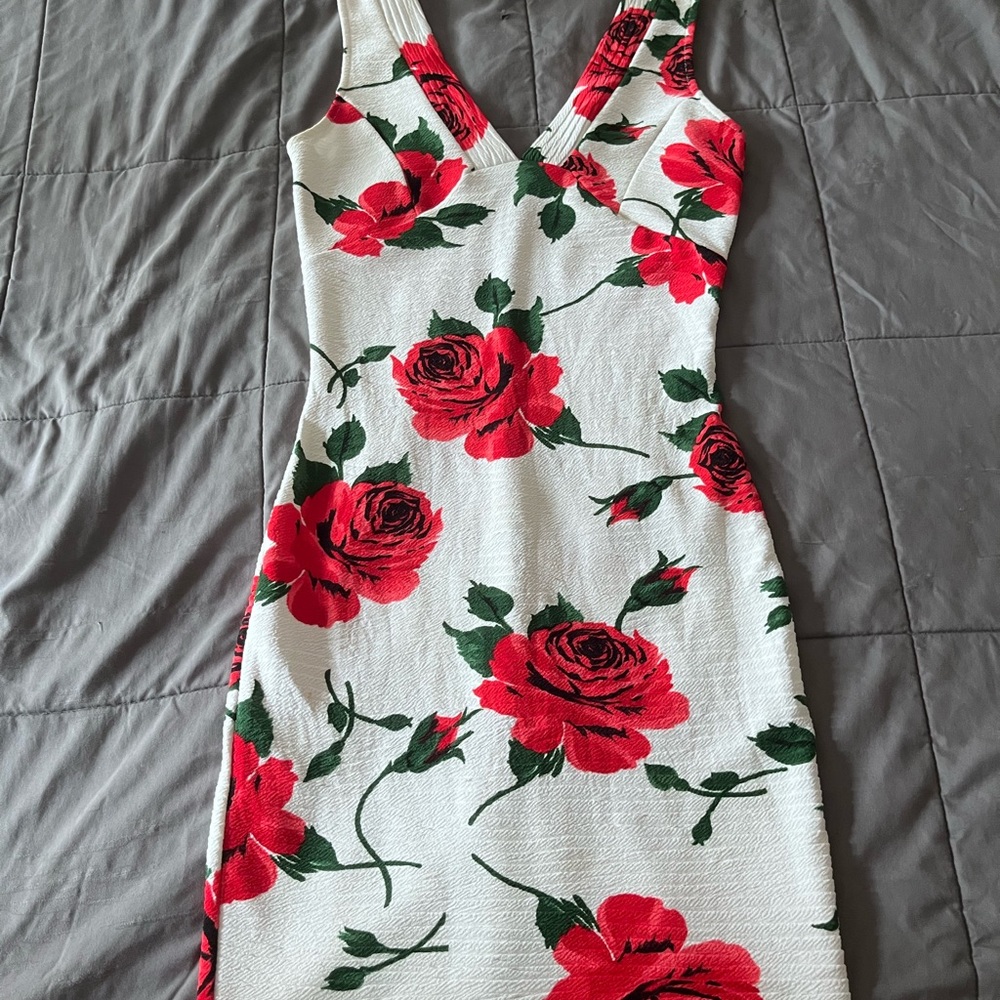 Beautiful Red Rose Dress - Gem